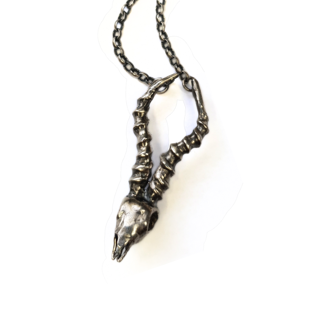 Springbok Skull Necklace – Campfire & Compass Jewellery